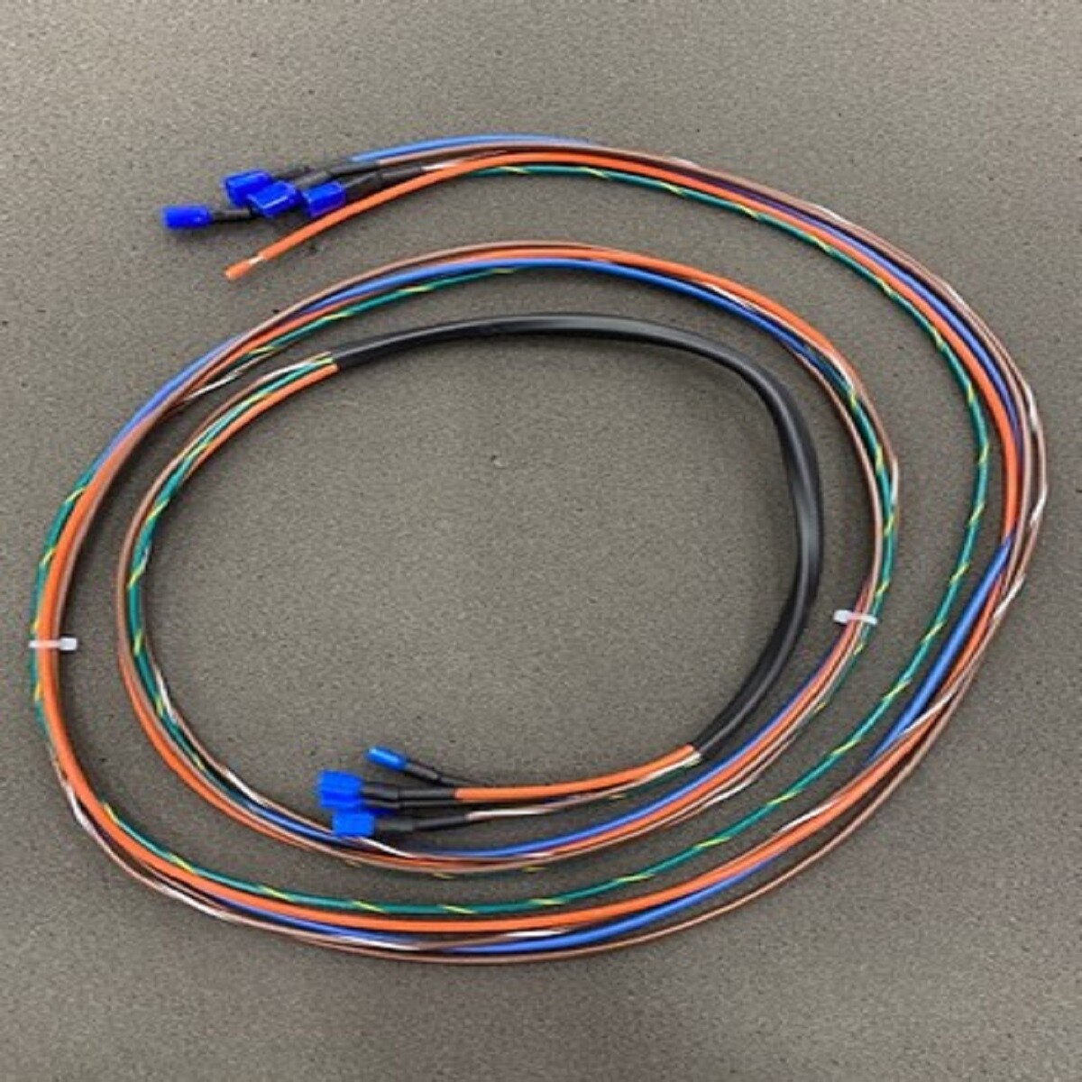 Harness Assembly Ceiling 7’ | Burton Medical