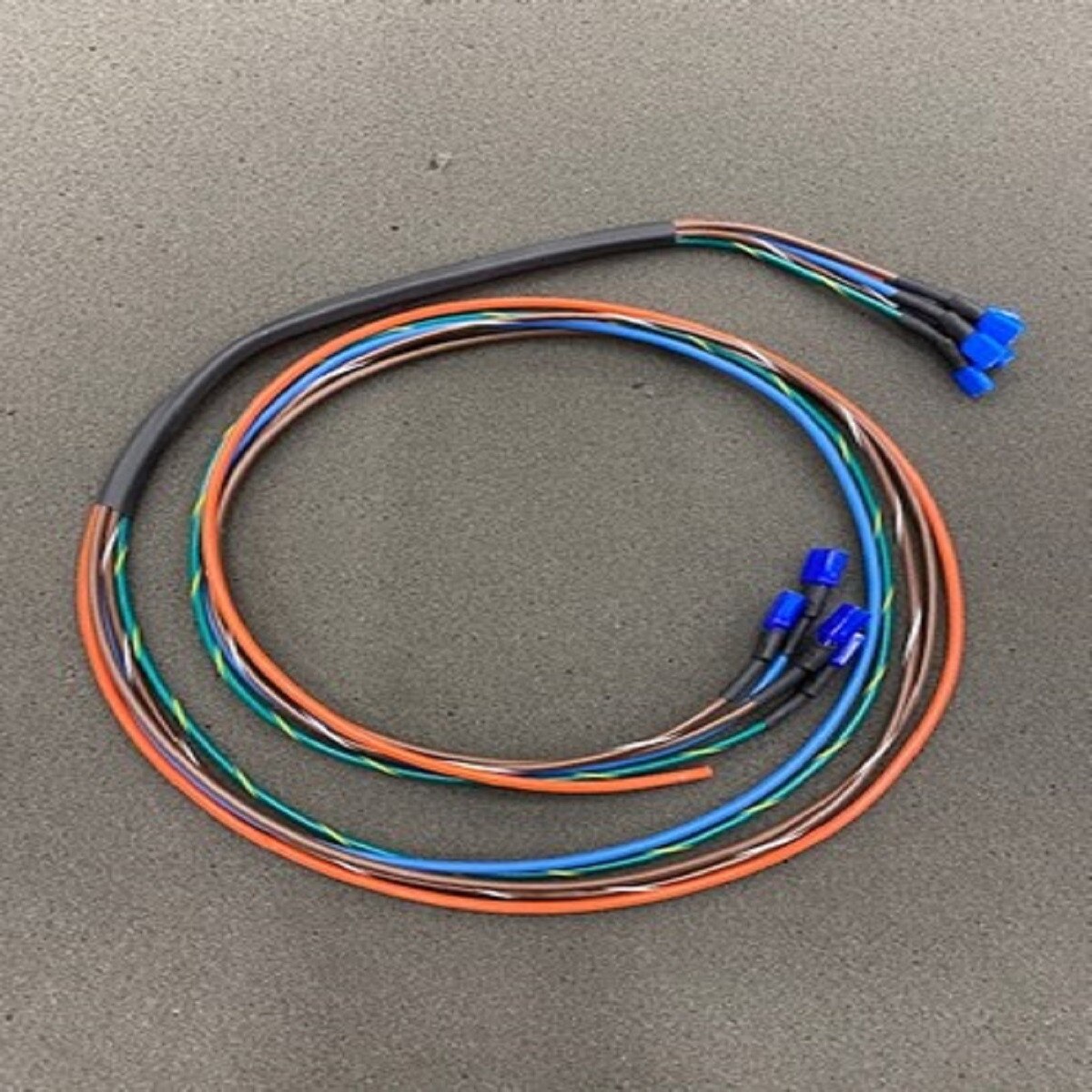 Harness Assembly Ceiling 4’ | Burton Medical